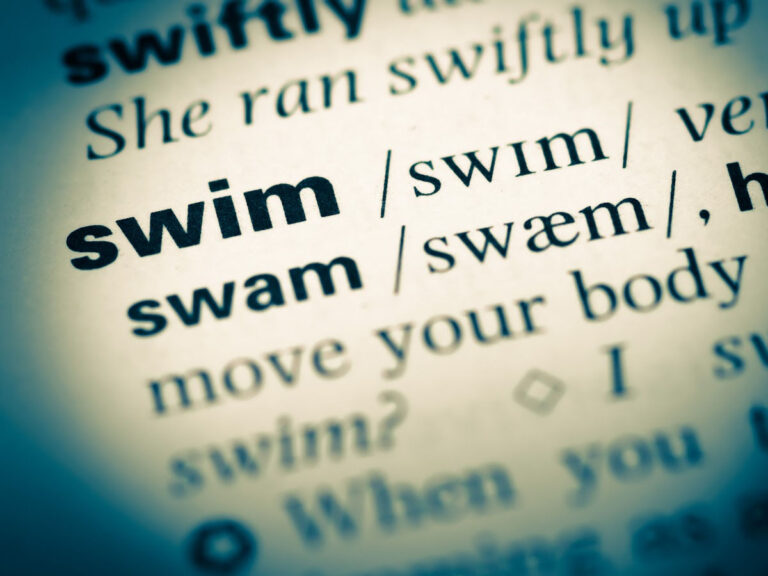 Swimming Terminology NewSwimmer swimming-terminology-newswimmer