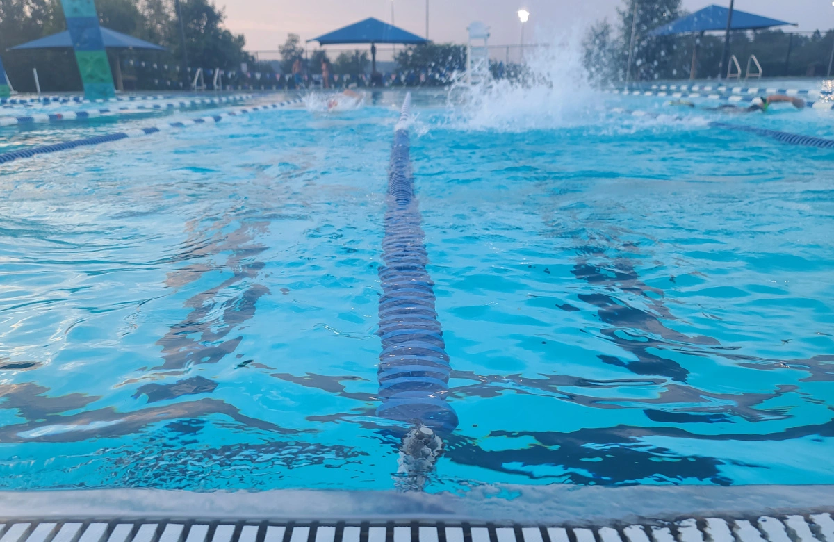 Why Long-Distance Aerobic Training Slows Sprint Swimmers: A Case ...